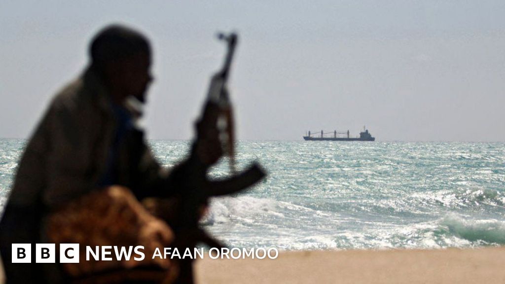 Qarqara Somaaliyaatti wanbadoonni doonii butnaan Hindiin humna galaanaa ...