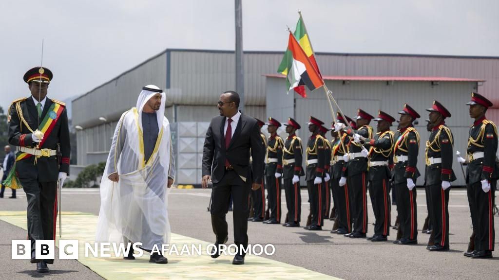 Itoophiyaan michummaa UAE irraa faayidaa akkamii barbaaddi? - BBC News ...