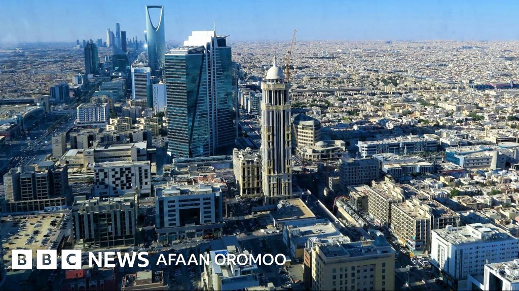 Seenaa addaa Sawuud Arabiyaa fi fudhatamummaa addunyaa irratti argataa ...