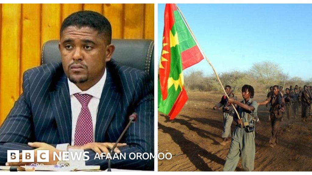 Waamichi irra deddeebii Mootummaa Naannoo Oromiyaa kutannoo nagaaf qabu ...