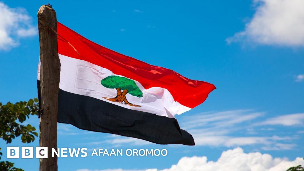 Boorana - Gujii: Murteen mootummaa akkamiin hawaasa gidduutti muddama ...