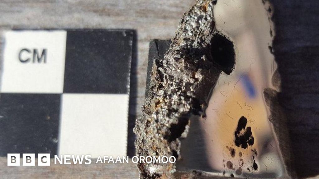 Saayintistoonni albuuda kana dura hin turre lama Somaaliyaatti argachuu ...