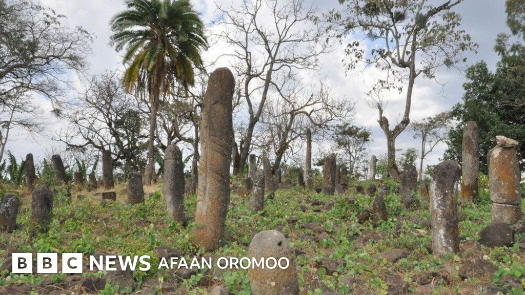 UNESCOtti kan galmaa’an Paarkiin Biyyaaleessaa Baaleefi dhakaan dhaabii ...