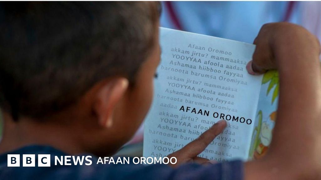 Afaan Oromoo afaan hojii Federaalaa gochuurraa wanti boodatti harkisu ...