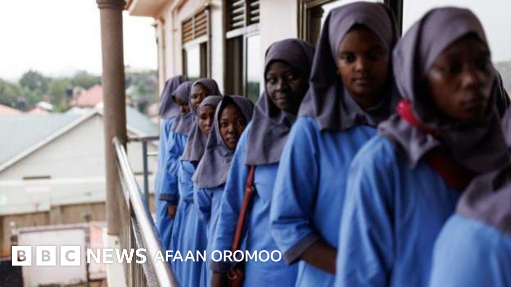 Yugaandaan Sa'uudii Arabiyaa waliin waliigaltee al-ergii humna namaa ...