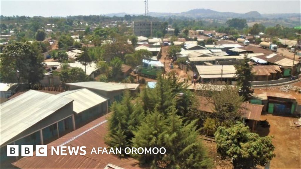 Hidhattoonni Faannoo Aanaa Giddaa Ayyaanaatti qaamolee nageenyaa torba ...