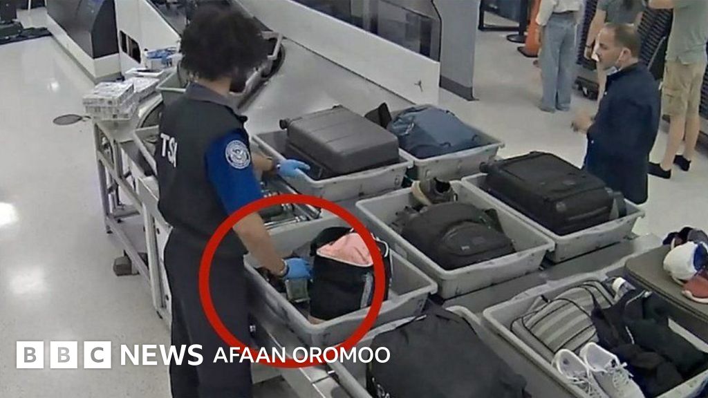 Hojjattoota buufata xiyyaaraa osoo maallaqa imaltootaa hatanii ...