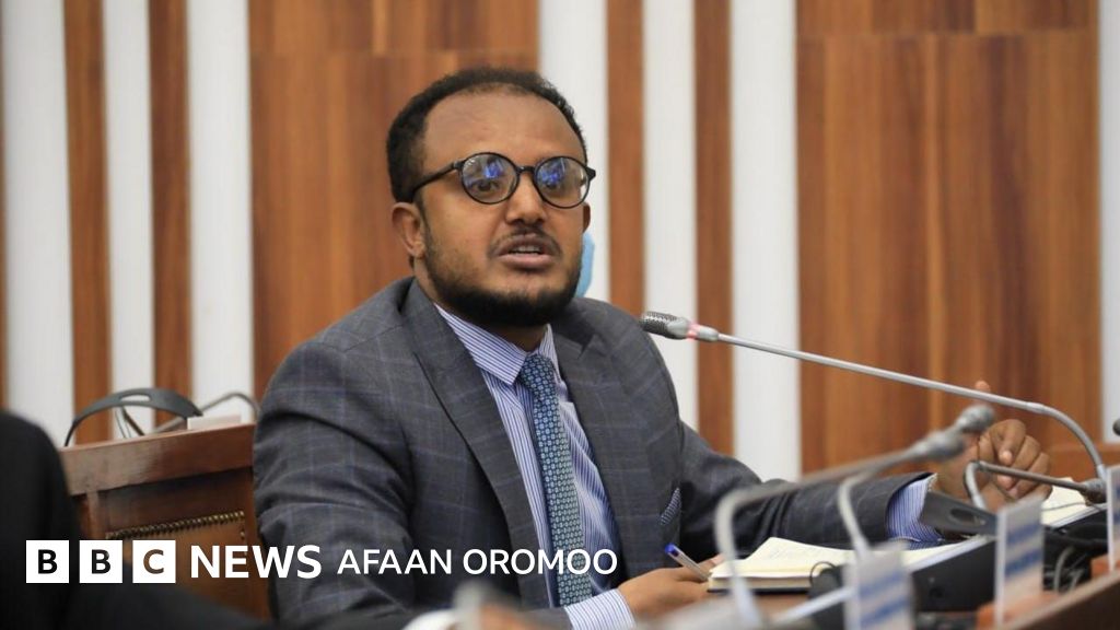 Miseensi paarlaamaa Dassaaleny Caannee filannoo keessaa of baase - BBC ...