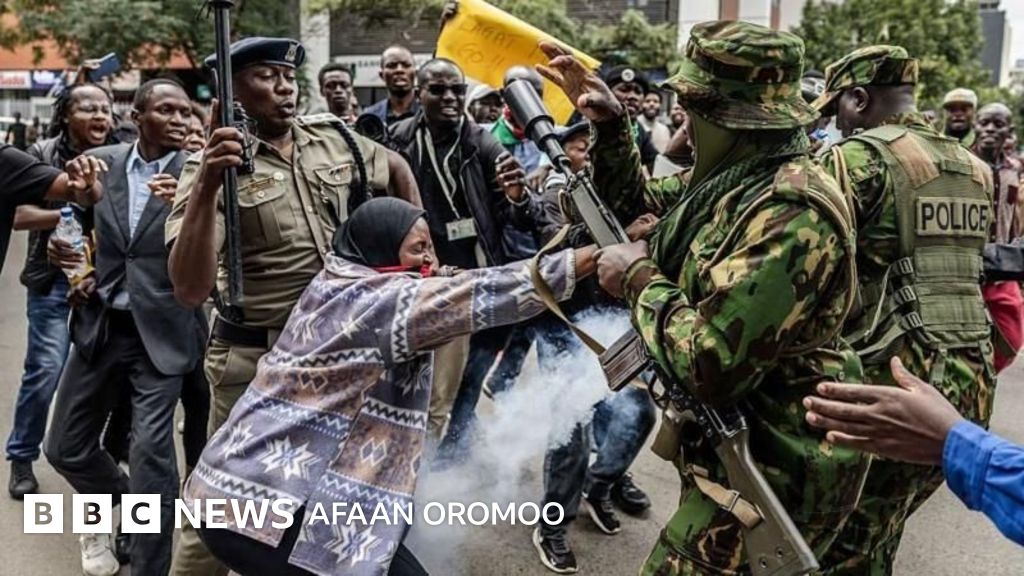 Hogganaan poolisii Keeniyaa ajjeechaa rogeessaan to'annoo jala oole ...