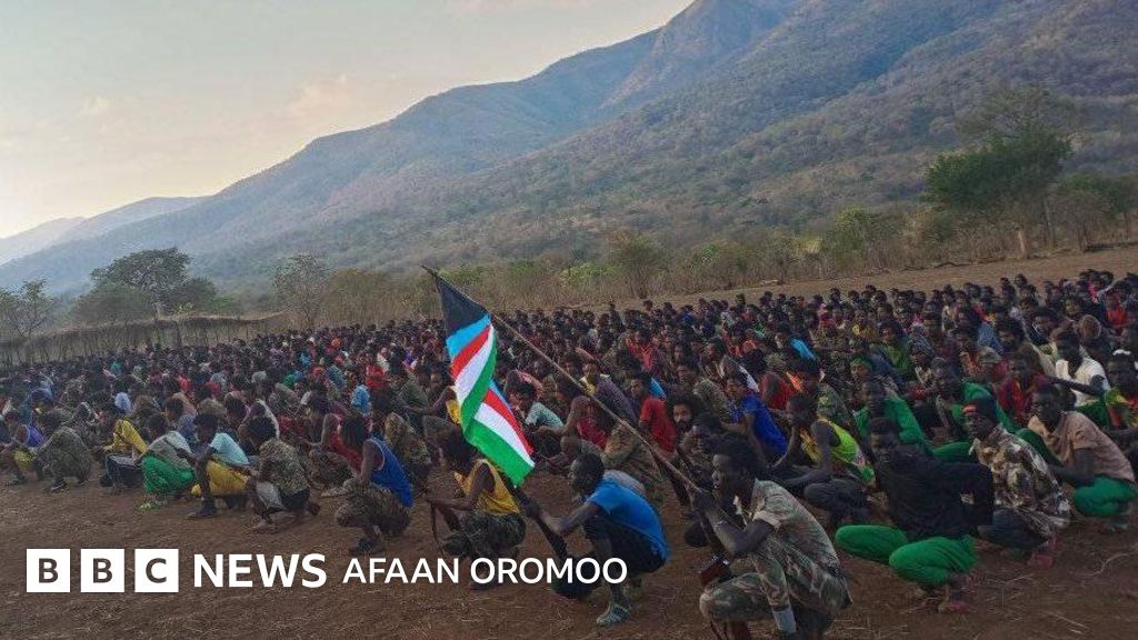 Haleellaa tibbanaan maqaansaa kan ka'u Adda Bilisummaa Gaambellaa eenyu ...