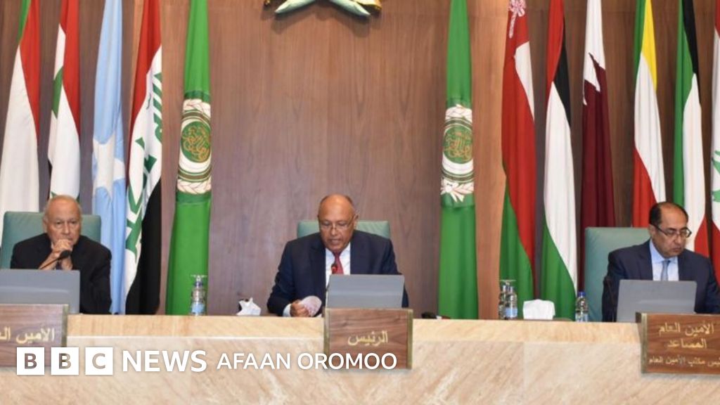 Masriin dhimma hidha Abbayyaa ajandaa dhaabbataa liigii Arabaa goote ...