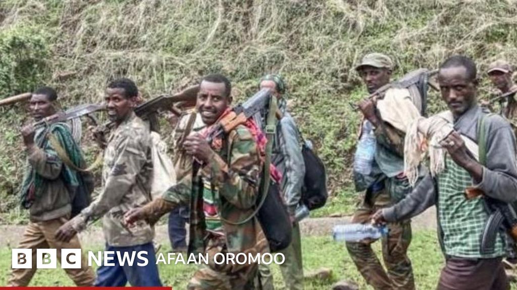 Hidhattoonni Faannoo Aanaa Arxummaa Furseetti namoota 16 ajjeesan-Aanga ...