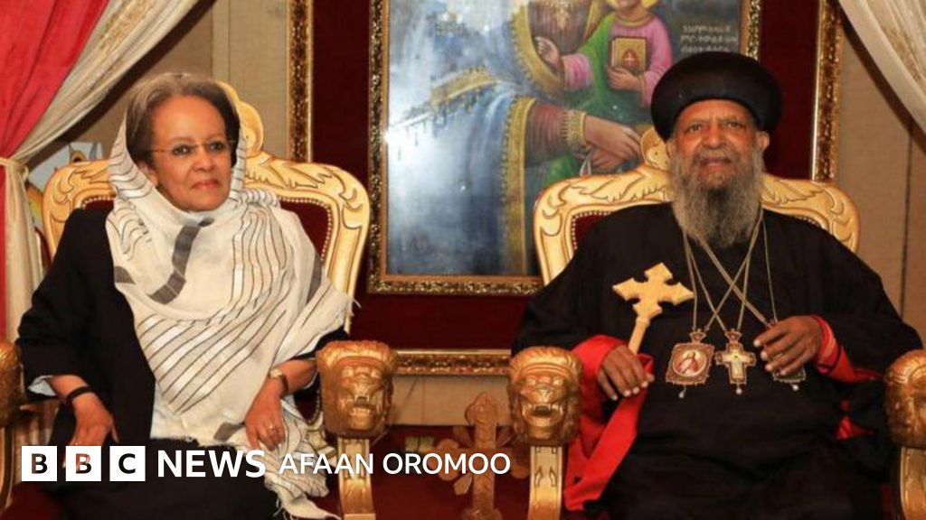 'Dhimmi amantii dhimma dureewwan mana amantii fi hordoftoota ...