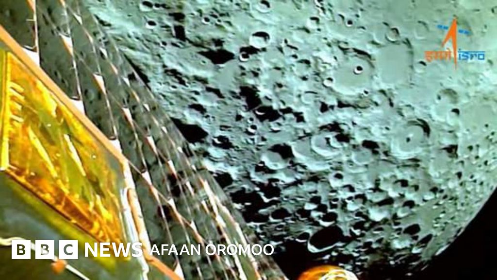 Indiyaan yeroo jalqabaatiif bantii kibbaa Addeessaarra qubachuun seenaa ...