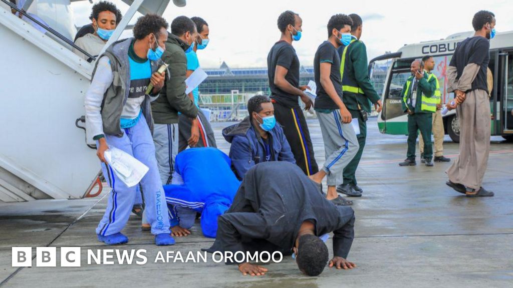 Mootummaan lammileen Itoophiyaa kuma 131 ta'an Sa'ud Arabiyaa irraa ...
