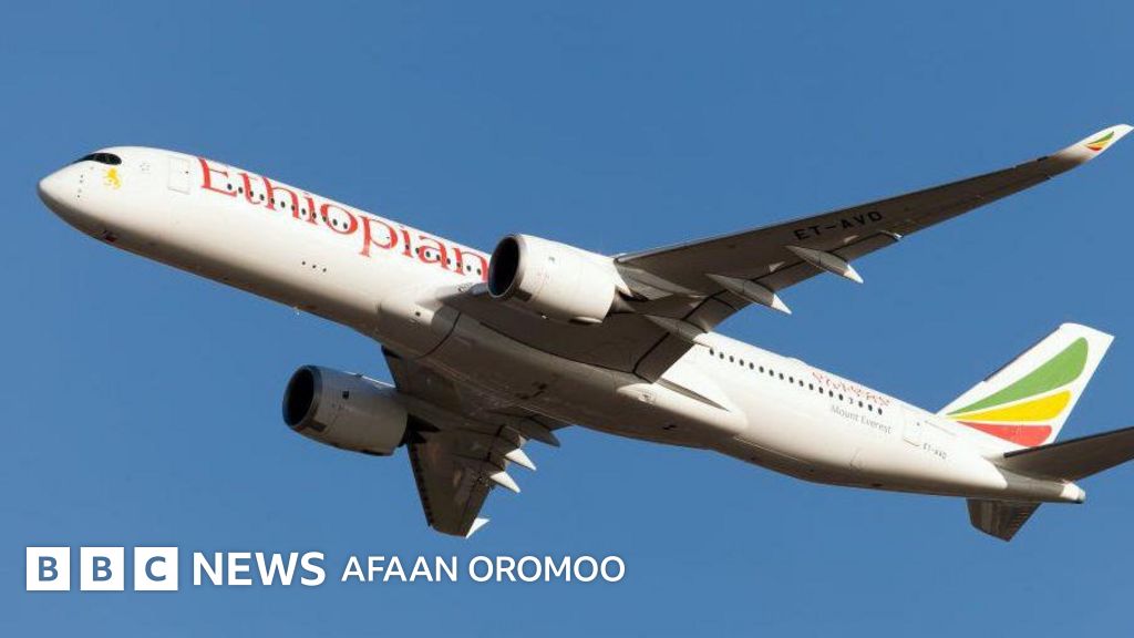 Hammi maallaqaa Daandii Qilleensaa Itoophiyaa irra jiruufi jalaa qabame ...