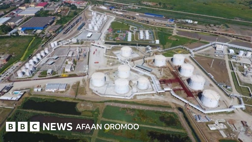 Raashiyaan haleellaawwan diroonii irratti aggaamaman hedduu qolachuu ...