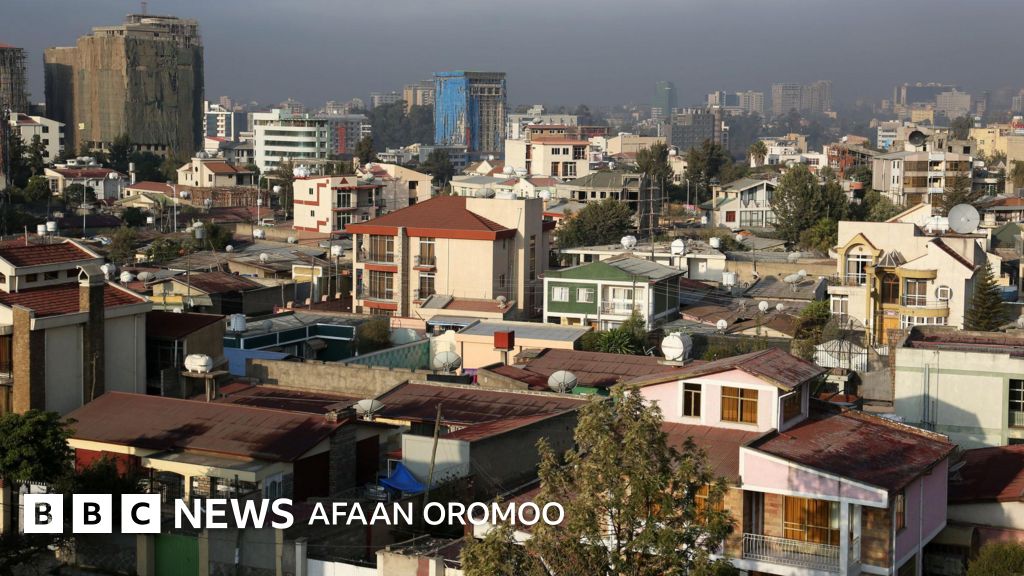 Seera haaraa mana jireenyaa kireessaniifi kireeffataniif baheerratti ...
