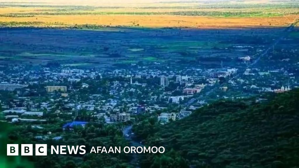 Magaalaan Allaamaaxaa to'annoo Raayyaa Ittisaafi Poolisii Federaalaa ...