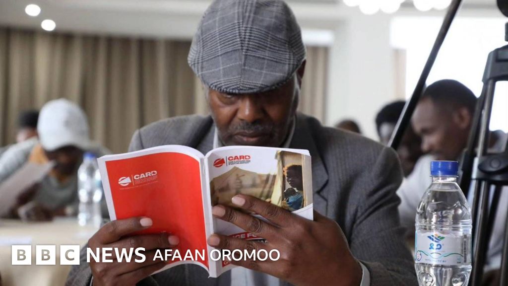 Gujii: Loltootni mootummaafi WBO jumlaan gudeeduu dabalatee yakkoota ...