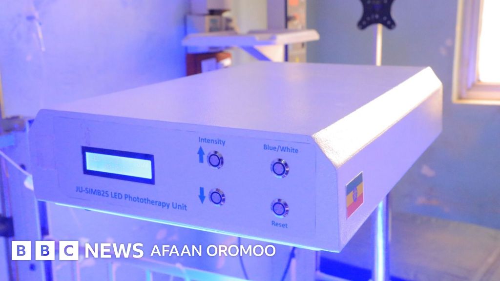 Kalaqa ganna kudhan booda milkaa'ee abdii biyyaa ta'e: Simboonaa ...