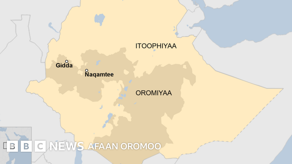 Haleellaa 'hidhattoonni Faannoo' konkolaataarratti raawwataniin ...