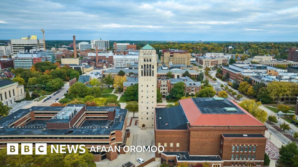 Lammiileen Chaayinaa 'seelii Faangasii balaafamaa' seeran ala gara ...
