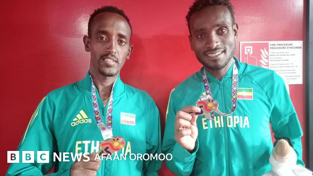 Shaampiyoonaa Atileetiksii Afrikaa irratti Itoophiyaan warqee jalqaba ...