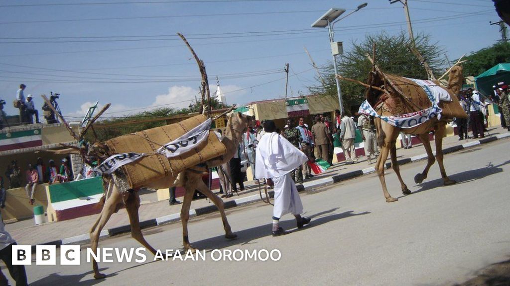 Biyya hundeessuuf ulaagaalee murteessoo ta'aniifi dhimma Somaalilaand ...