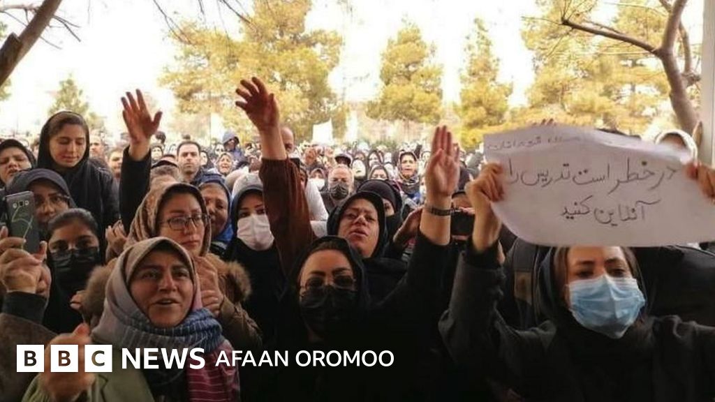 Shamarran Iraan 1000 ol akkamiin barnootaa irraa dhorkuuf jecha ...