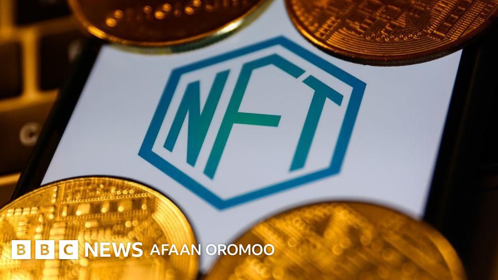 Namoonni fakkii intarneetii irraa buusuu danda’an maaliif doolaara ...