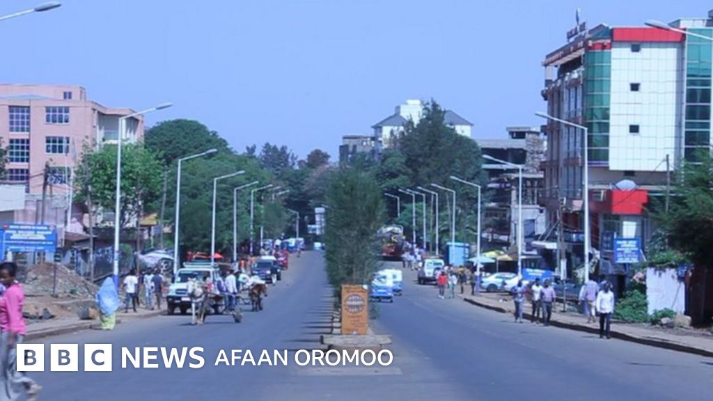 Wallaga Bahaa M﻿agaalaa Naqamteetti maaltu tahe? - BBC News Afaan Oromoo