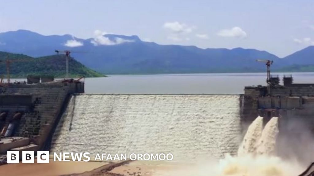 'Marii hidha haaromsaa irratti fooyya'iinsi argame hinjiru' - Masrii ...