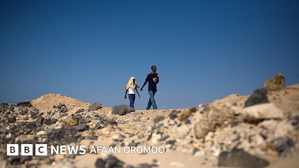 'Reeffa lammiilee keenyarra tarkaanfachaa Saawudii seenne' - Godaantota ...