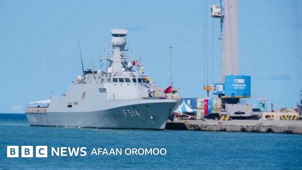 Somaaliyaa waliin waliigaltee waraanaa kan mallatteessite Tarkiin ...