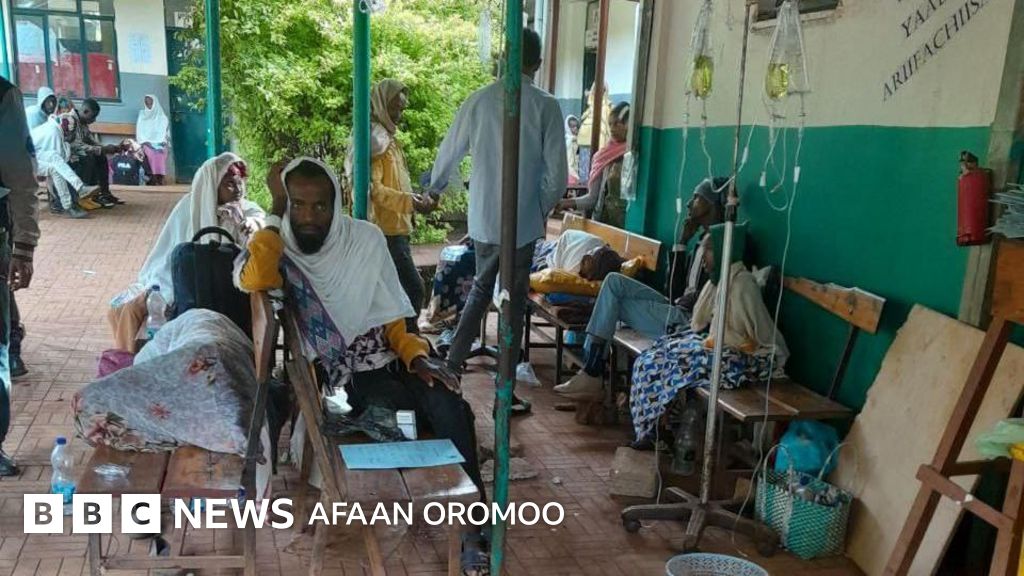 Giddaa Ayyaanaa dabalatee aanaalee Godina wallagga bahaatti weerarri ...