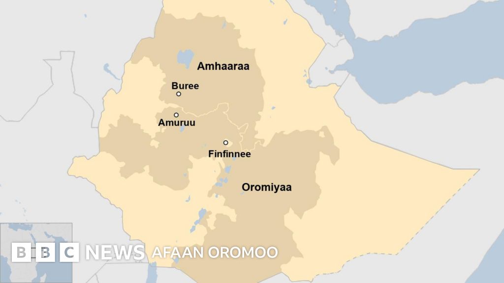 Aanaa Amuruutti hidhattoonni Faannoo attamiin namoota shan ajjeesan ...