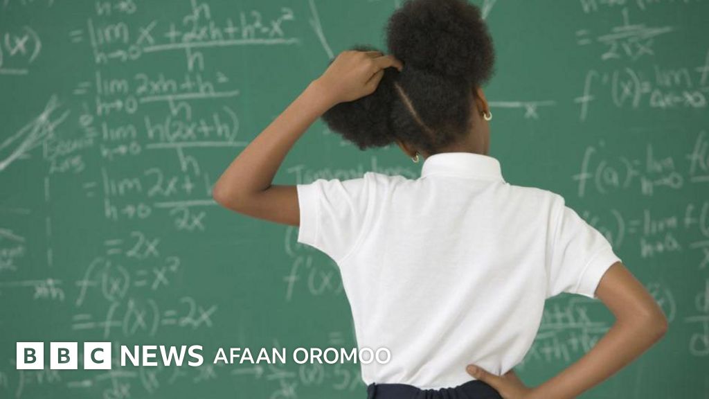 Manneen barnoota bultii barattoota qaroo horaa jiran - BBC News Afaan ...