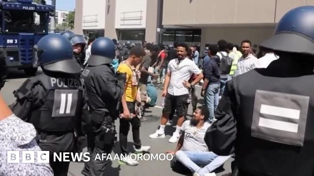 Lammiileen Ertiraa 125 Jarmaniitti 'hokkorarratti hirmaatan' yakkaan ...