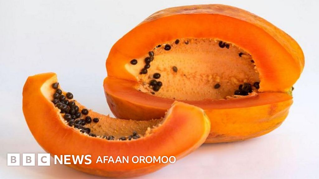 Bu'aa ajaa'ibaa paappayaan fayyaaf qabu beektuu? - BBC News Afaan Oromoo