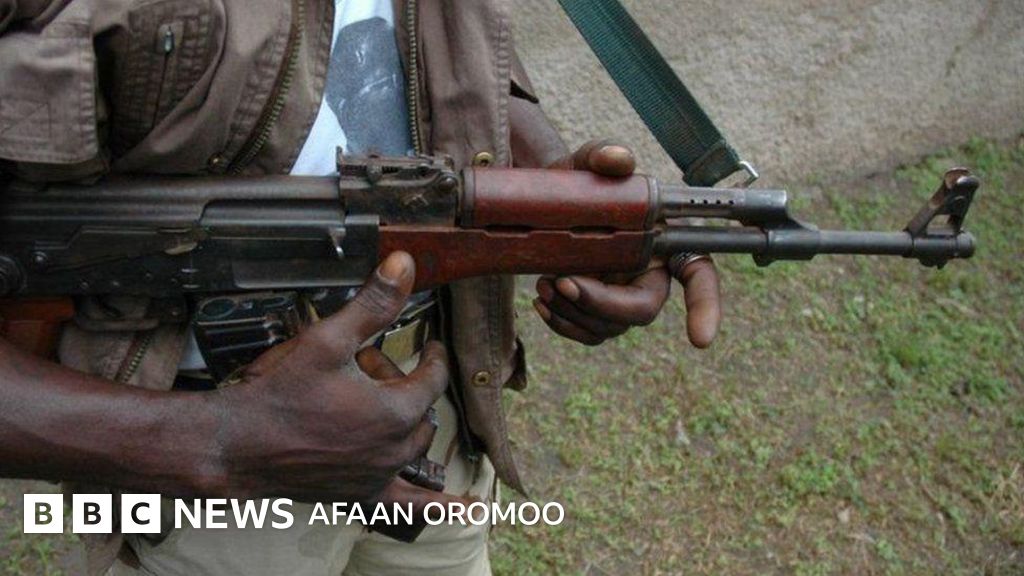 'Naannoo Oromiyaatti sarbama mirgoota namoomaa hamaatu gaggeeffamaa ...