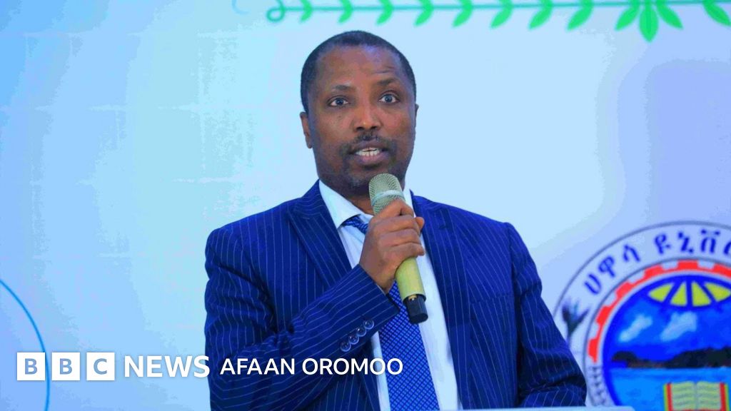 'Mariin araaraa Daaresalaam akka gufatu kan godhe mootummumaa ani ...