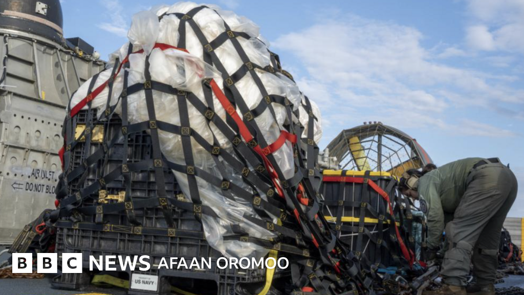 Qaamni afuuffee Chaayinaa odeeffannoo walitti qabuun shakkamee rukutame ...