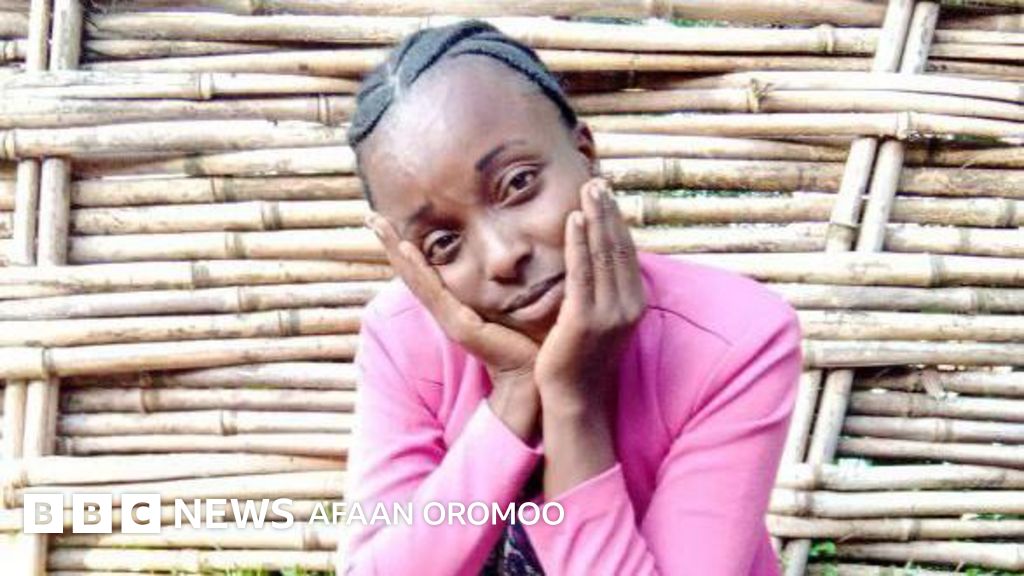 Shamarree Yunvarsiitii Jimmarraa eebbifamtee hojii dhabdee 'kadhaa ...