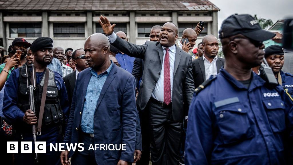 Insécurité dans l’Est de la RDC : C'est quoi "l’Alliance du Fleuve Congo" pour laquelle ...