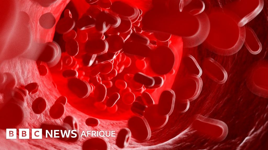 Anatomie : qu'est-ce que le glycocalyx, cet organe peu connu mais ...