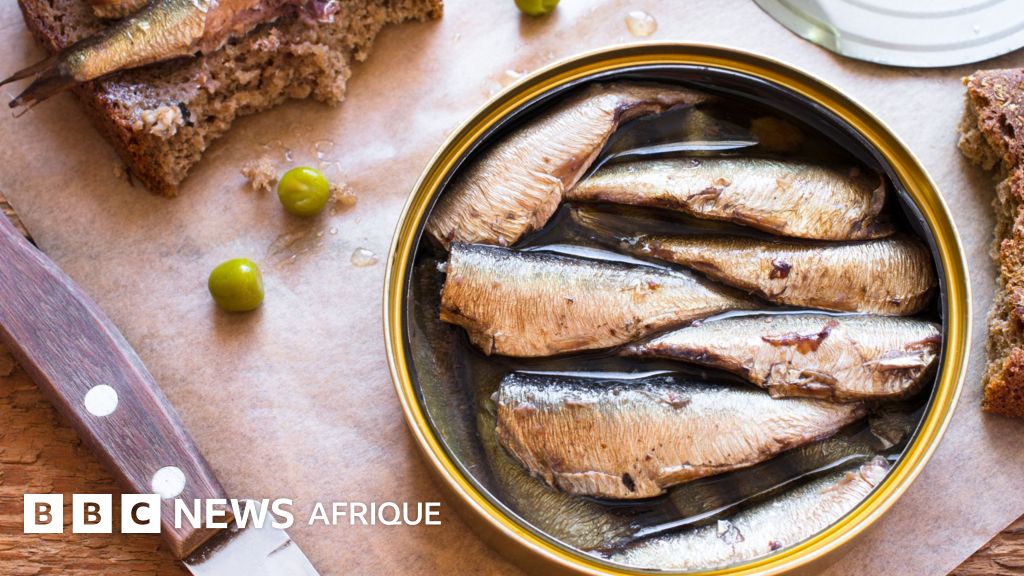 Poissons gras : quels sont les avantages pour la santé ? - BBC News Afrique