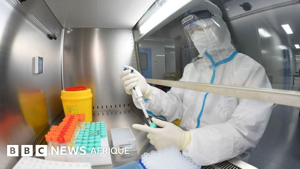 Covid : l'origine du virus est probablement due à un incident de laboratoire en Chine selon le ...