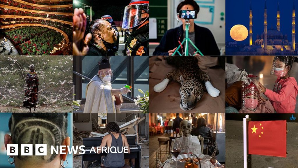 L'année 2020 en images : Un regard par mois sur une année ...