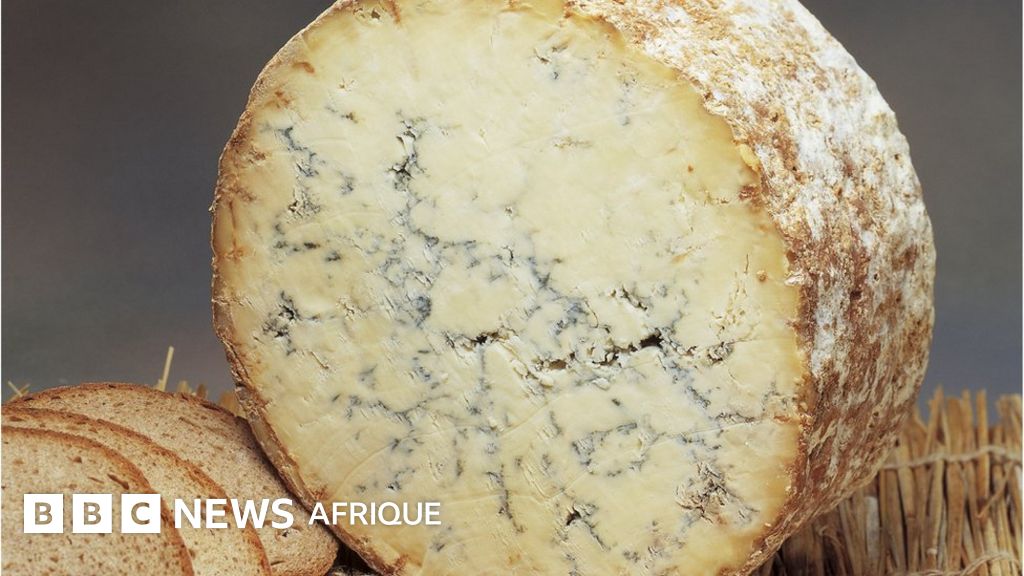 Un fromage vieux de 3000 ans découvert - BBC News Afrique